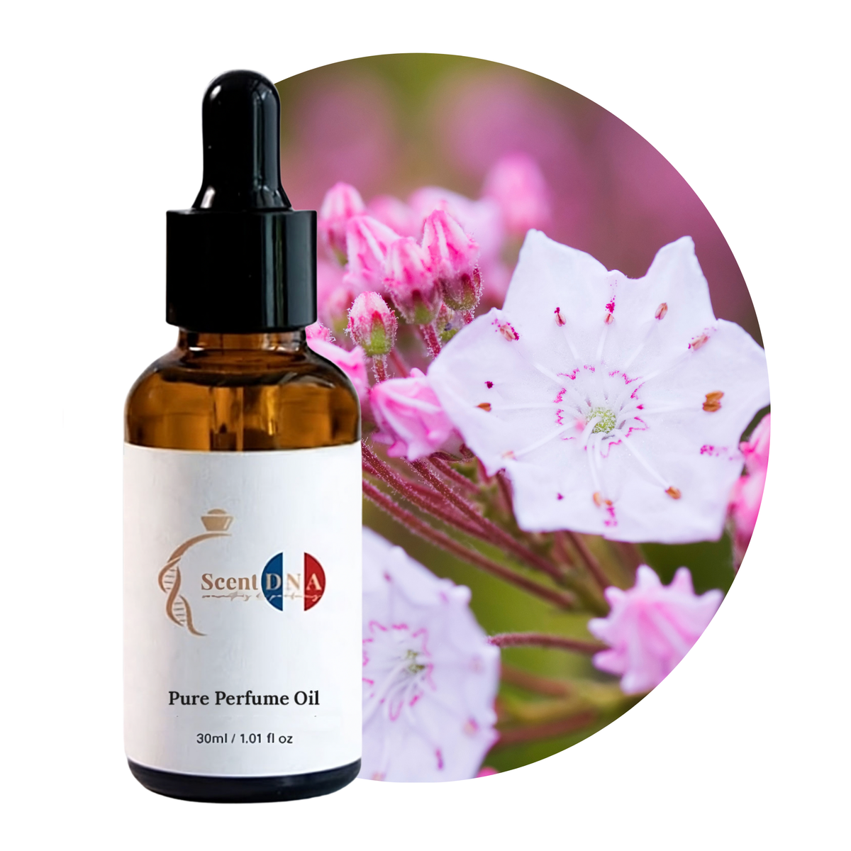 Laurel Perfume Oil – Scent DNA Perfume Oils