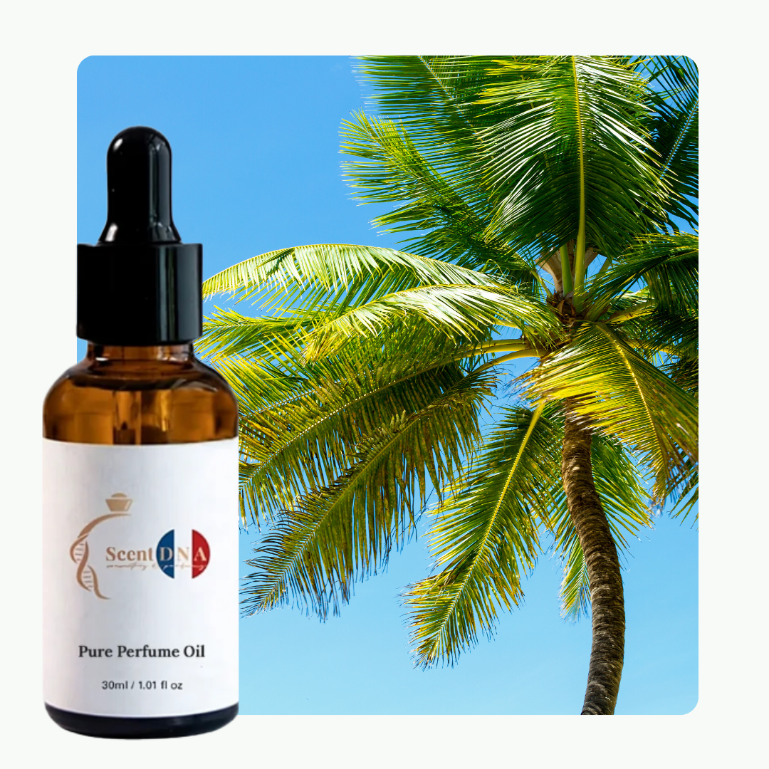 Palm Tree Perfume Oil – Scent DNA Perfume Oils