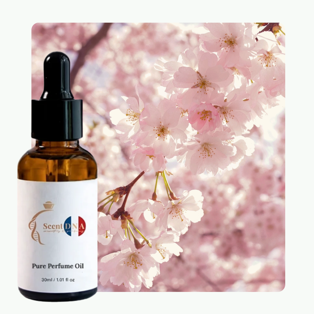 Sakura Blossom Perfume Oil – Scent DNA Perfume Oils