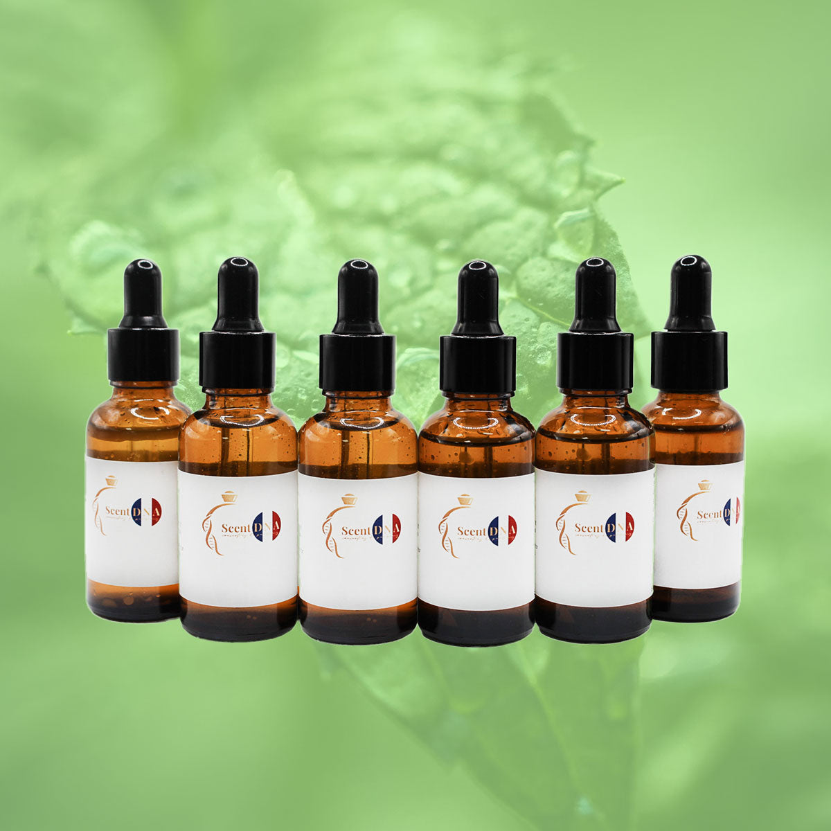 Mint and Green Perfume Oil Bundle – Scent DNA Perfume Oils